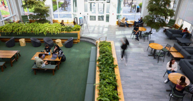 Babson Students Reflect on Patagonia’s Environmental Trailblazing