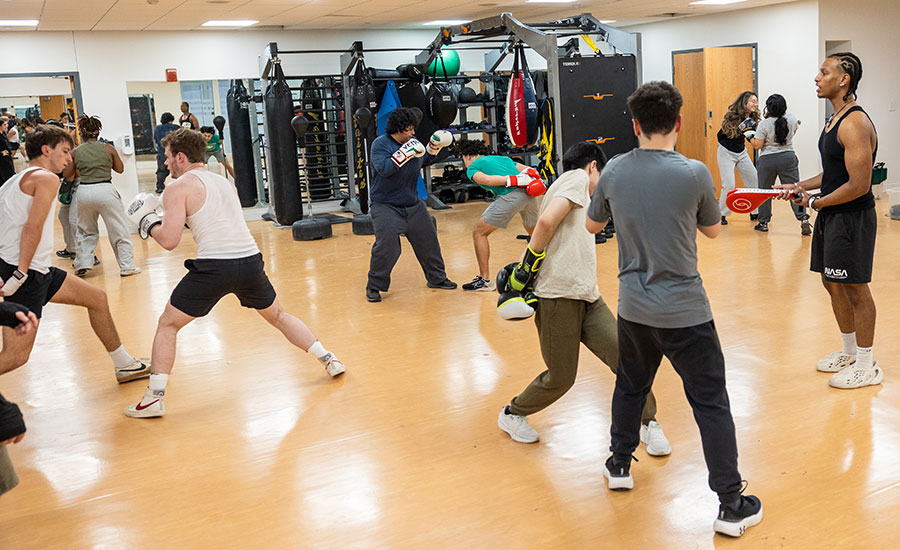 Ring the Bell: Working Out with the Babson Boxing Club · Babson Thought ...